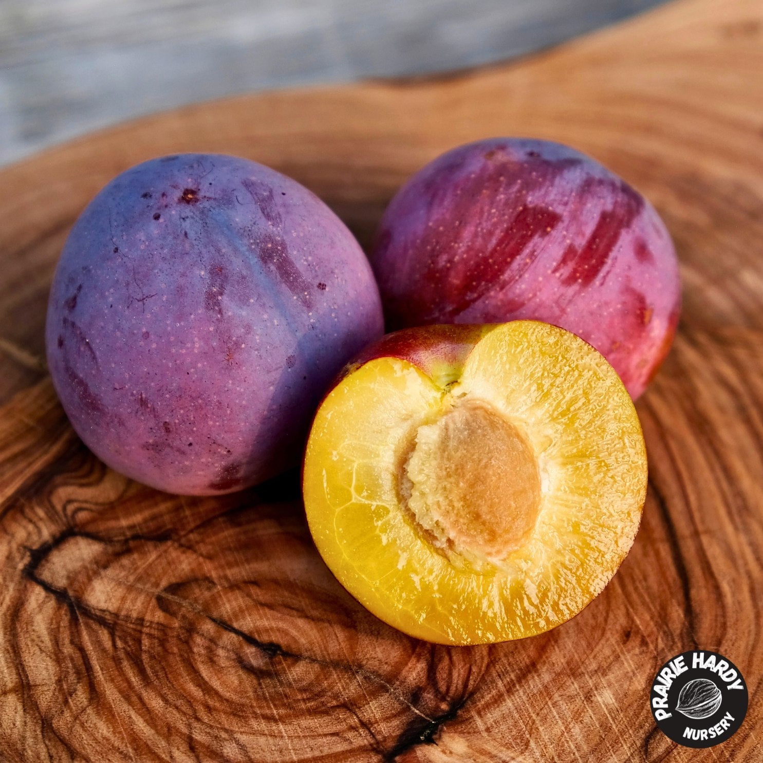 Plum Trees – Prairie Hardy Nursery